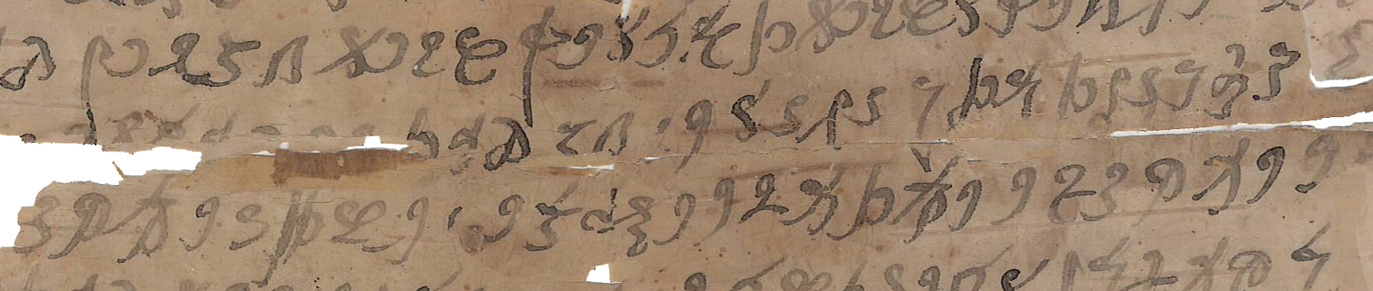 Gandhari Manuscript Project – Gandhāran Buddhist Texts